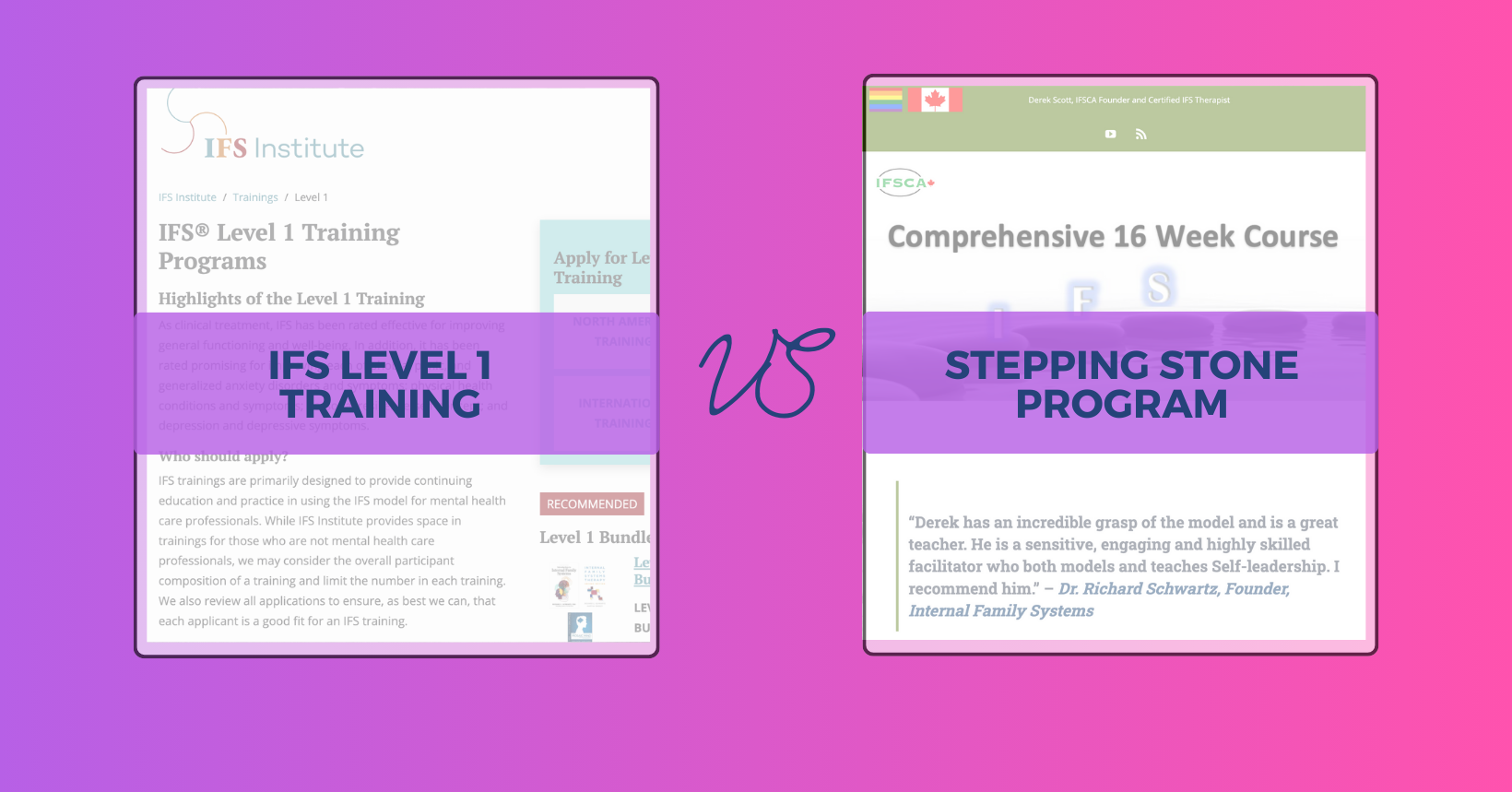 IFS Level 1 Training vs. Stepping Stone Program (Pros and Cons ...