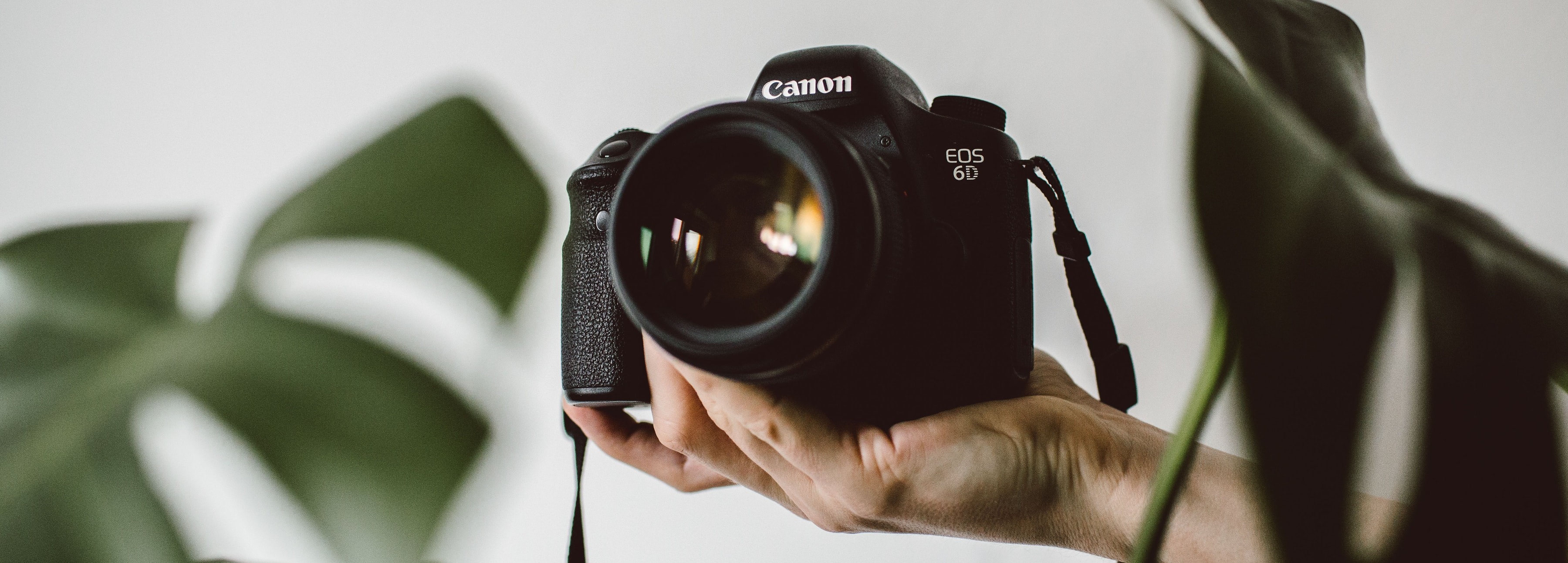 Common photography problems and how to fix them | Creatively Squared