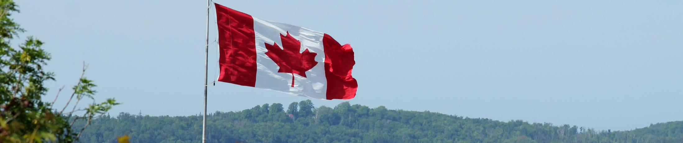MaL Updates | Canadian Authors