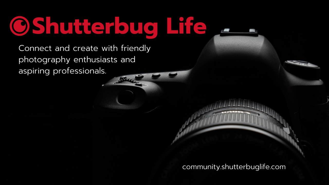 Shutterbug Life